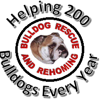 Bulldog Rescue | Causes | Unity Lottery